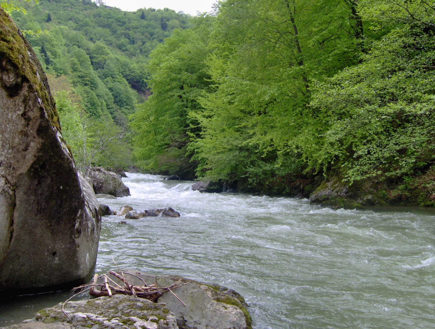 Manzaralarla Dereli – Dereli Belediye Başkanlığı