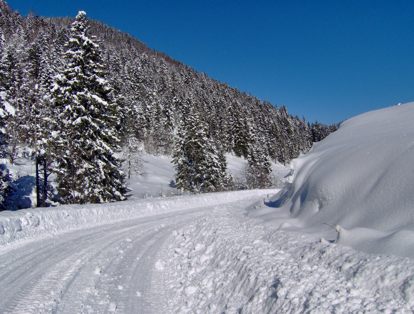 Manzaralarla Dereli – Dereli Belediye Başkanlığı