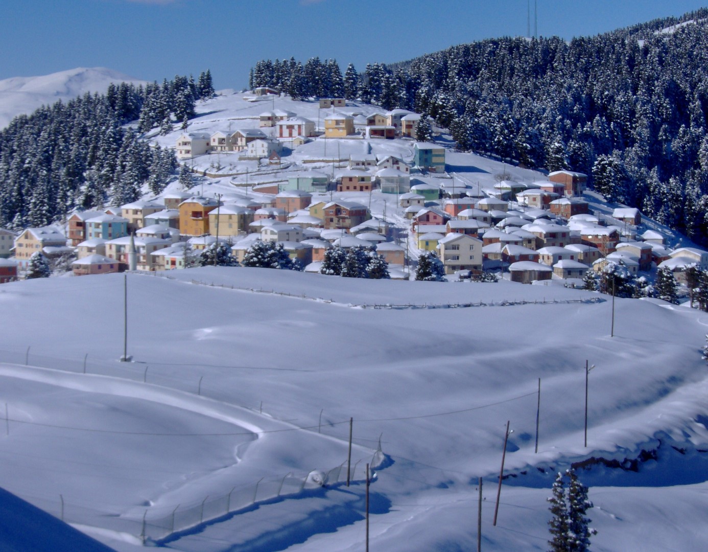 Manzaralarla Dereli – Dereli Belediye Başkanlığı