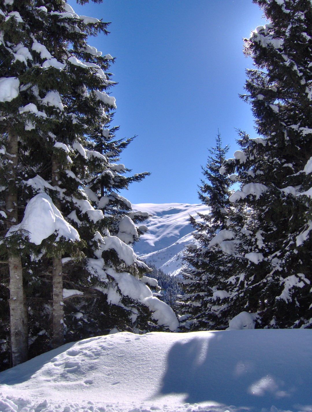 Manzaralarla Dereli – Dereli Belediye Başkanlığı