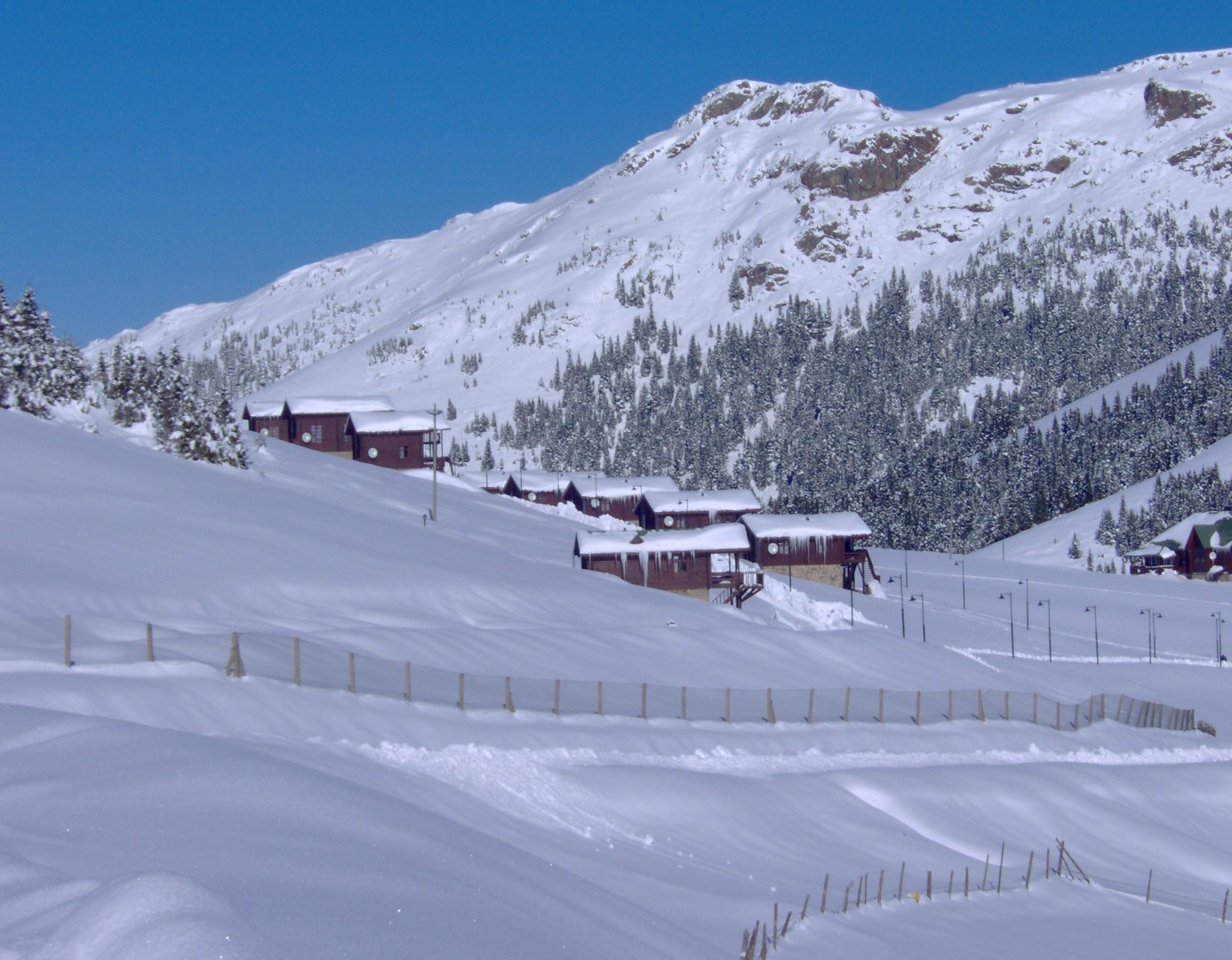 Manzaralarla Dereli – Dereli Belediye Başkanlığı