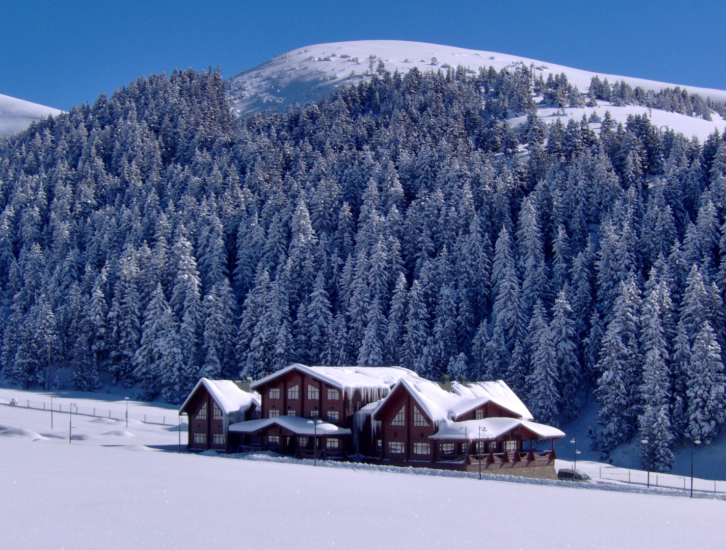 Manzaralarla Dereli – Dereli Belediye Başkanlığı