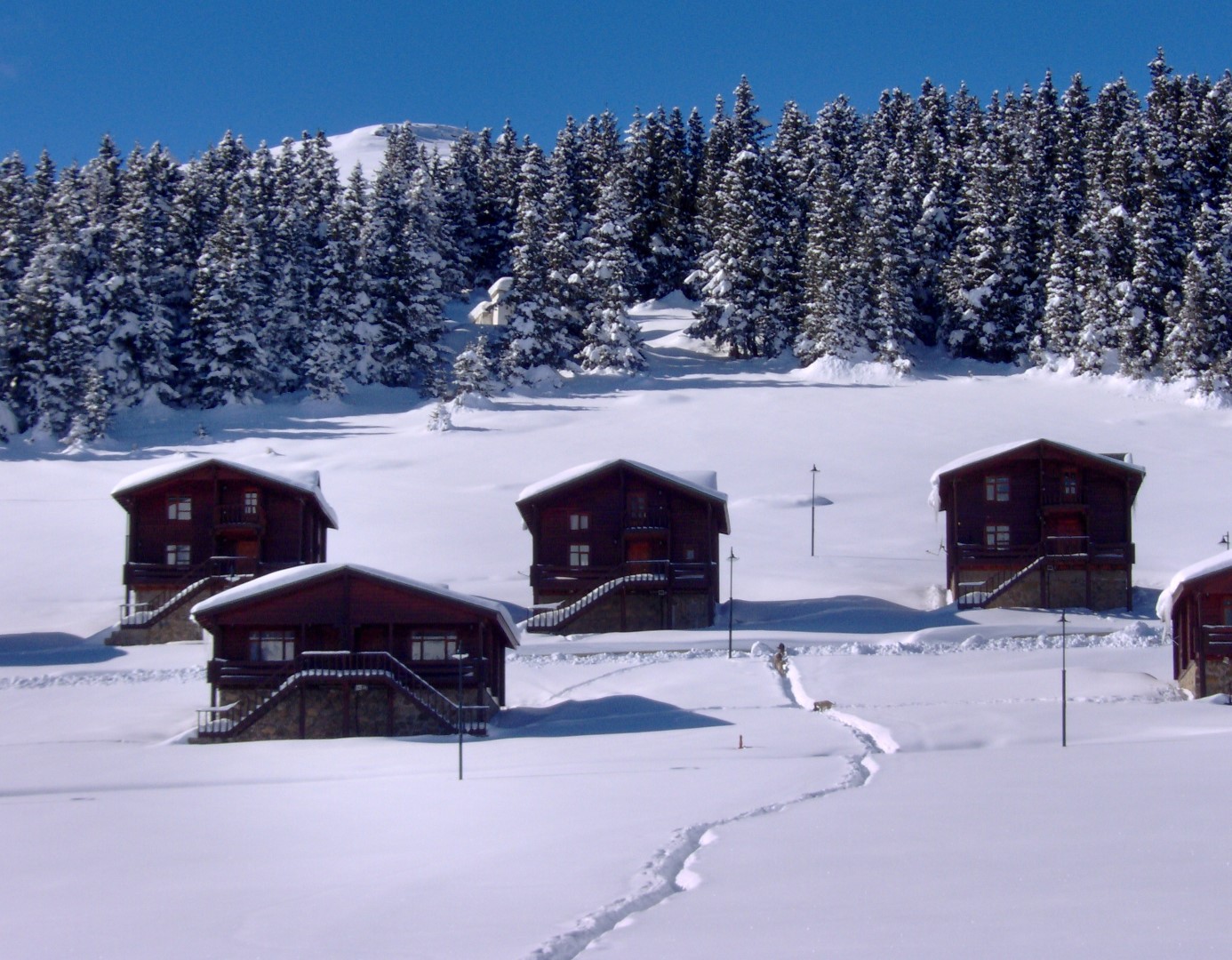Manzaralarla Dereli – Dereli Belediye Başkanlığı